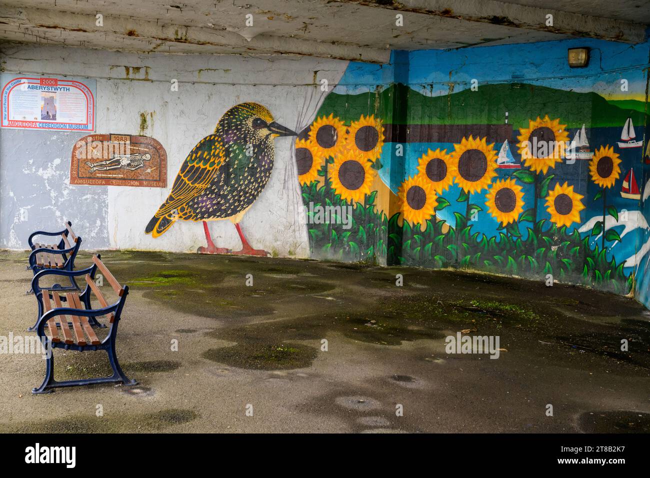 Street murals at Aberystwyth Castle, North Wales Stock Photo - Alamy