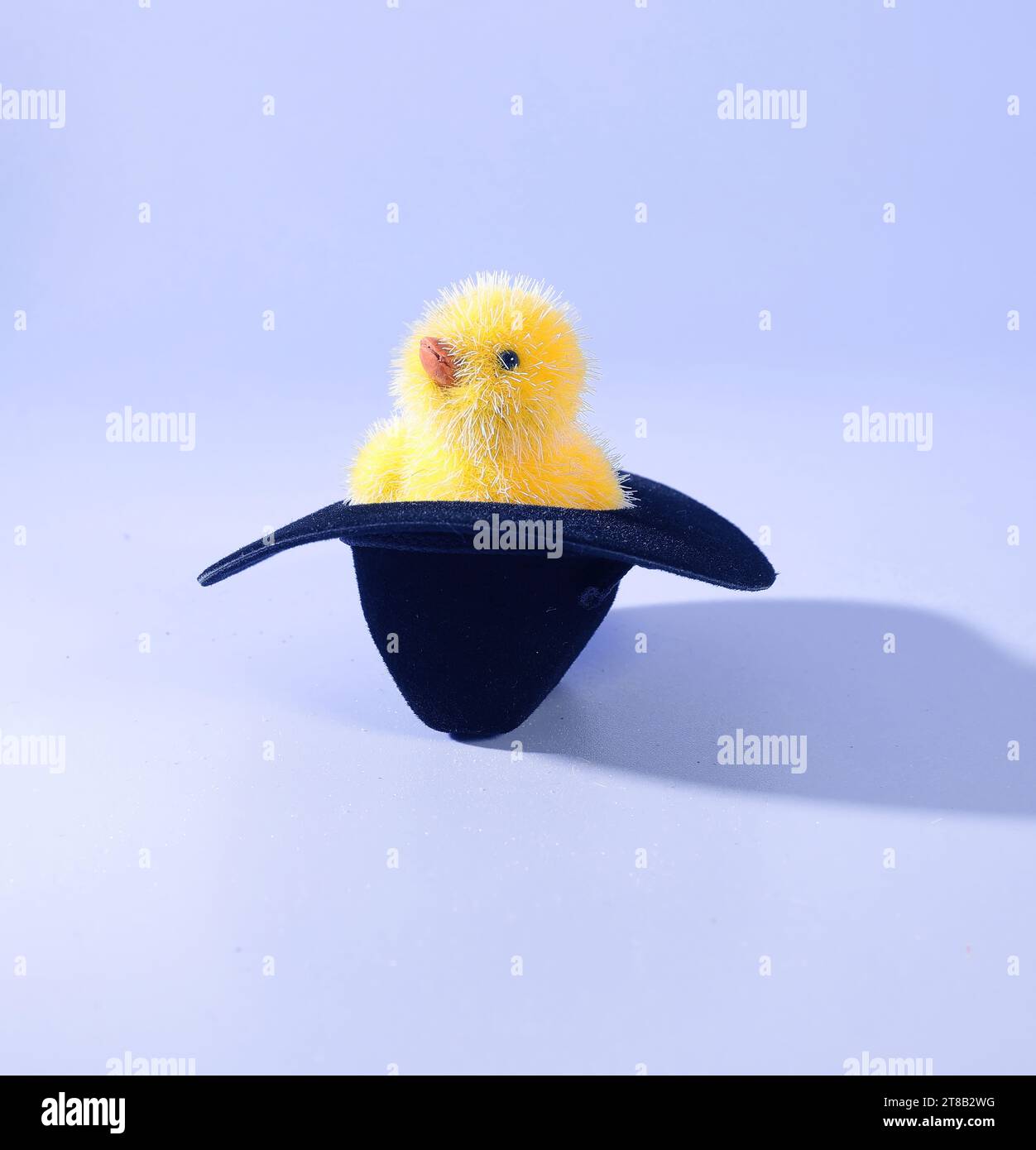 The Darling Duckling Cowboy: A Baby Yellow Adorable Duckling in a ...