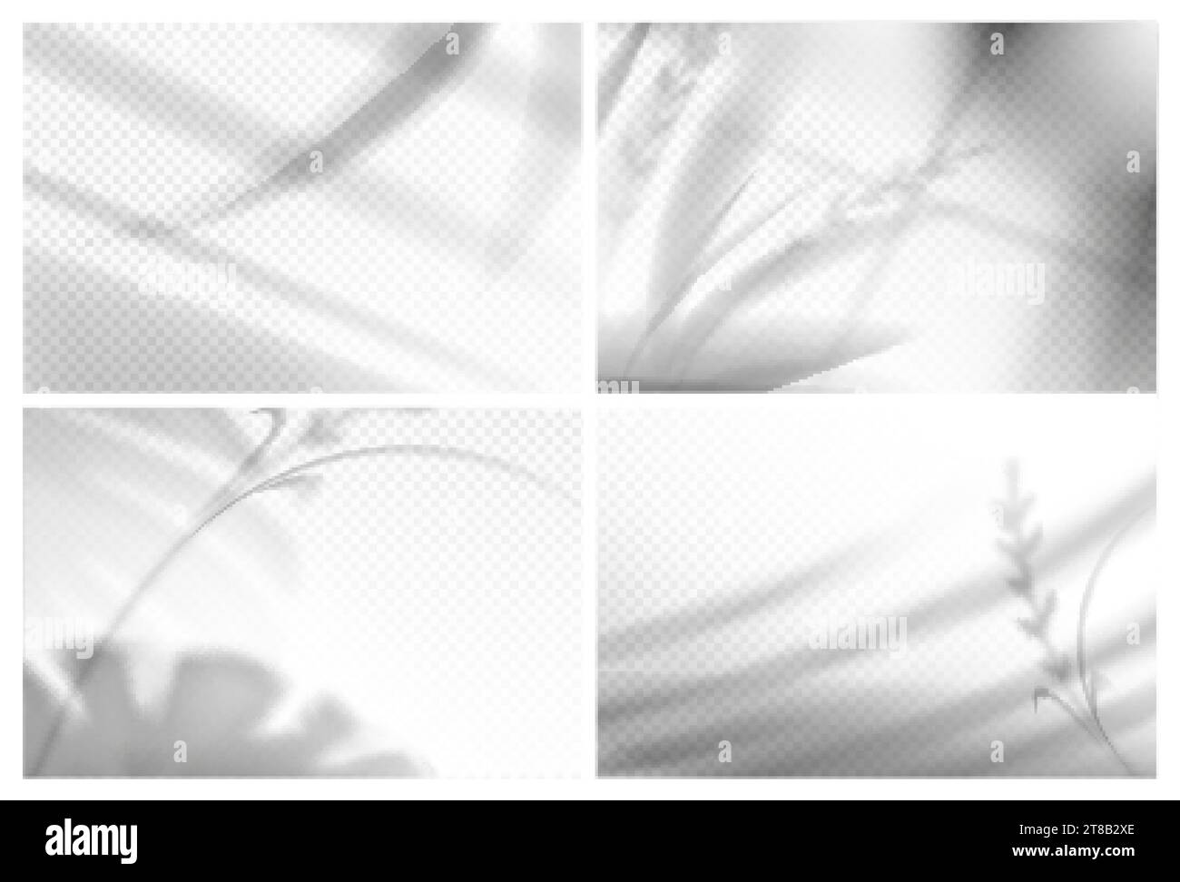 Abstract shadow monstera leaves on Black and White Stock Photos ...