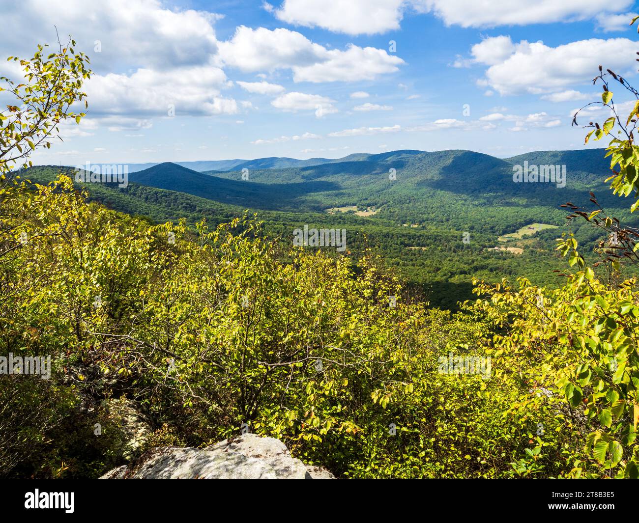 The untamed beauty of the wilderness unfolds, revealing wooded ...