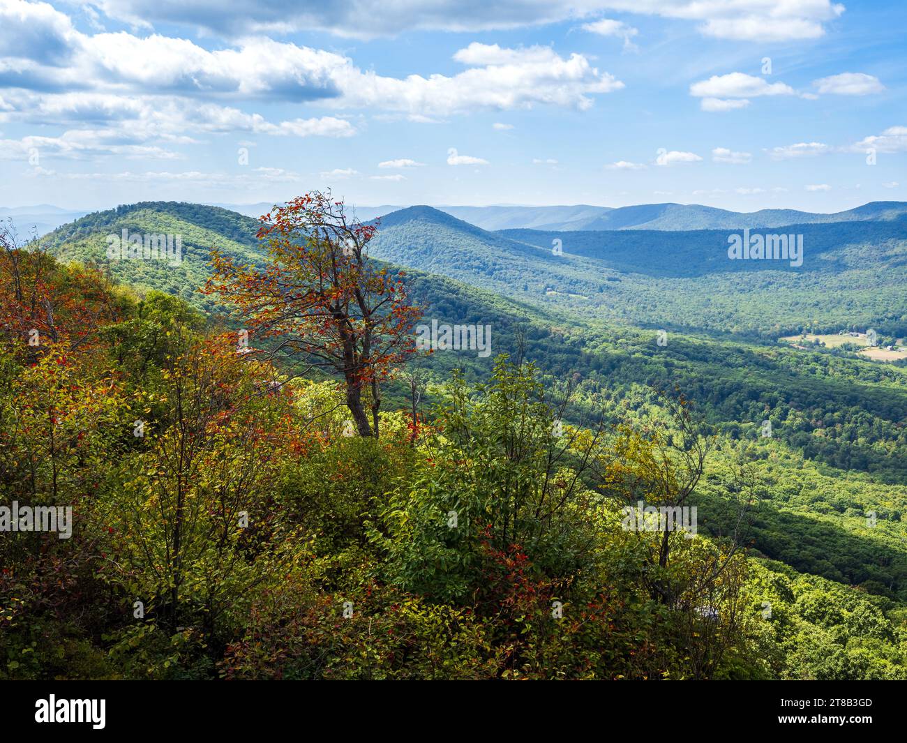 Wolf gap trail hi-res stock photography and images - Alamy