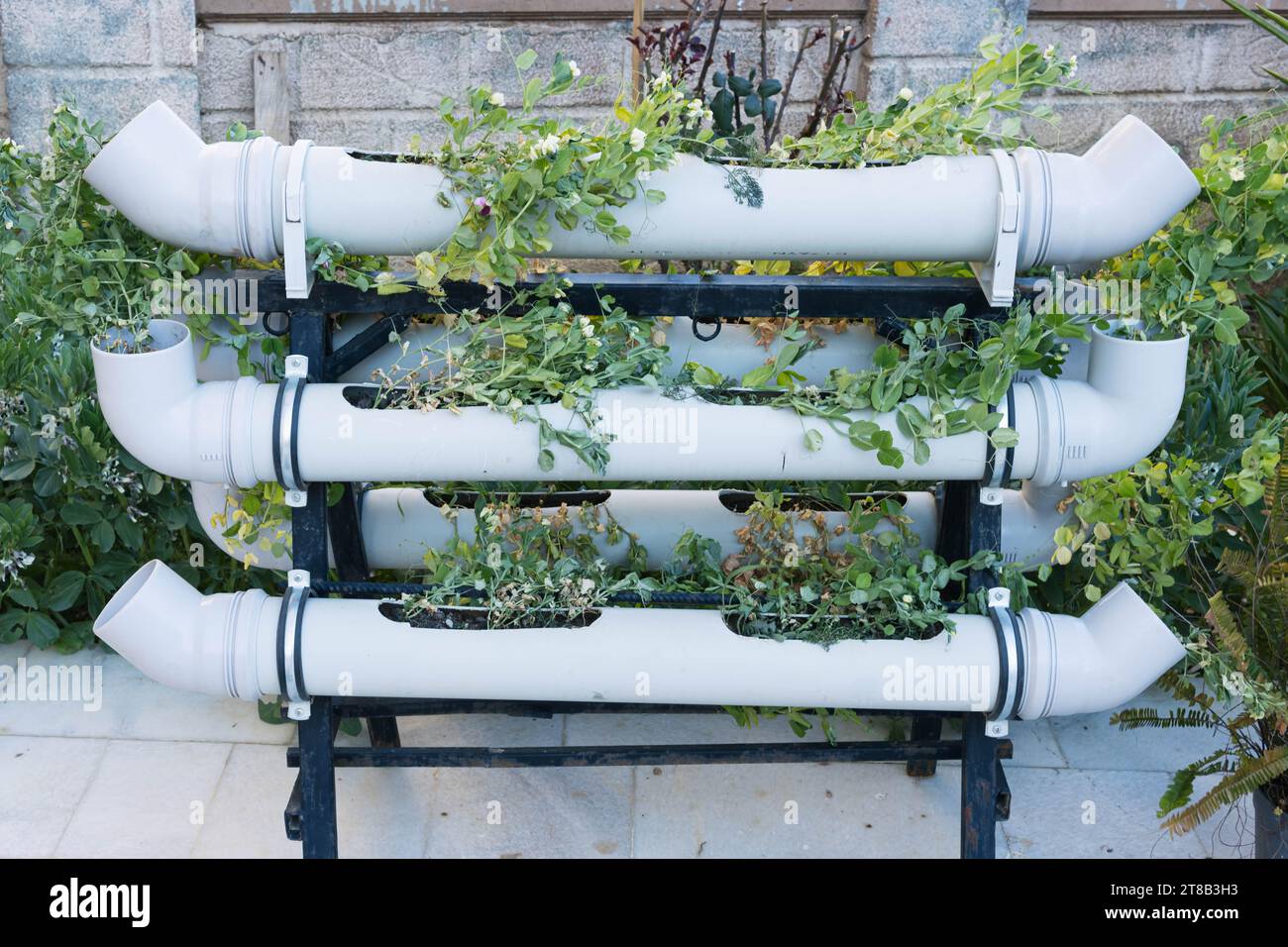 flowers planted in a pipe large from water.Creative planting ideas ...