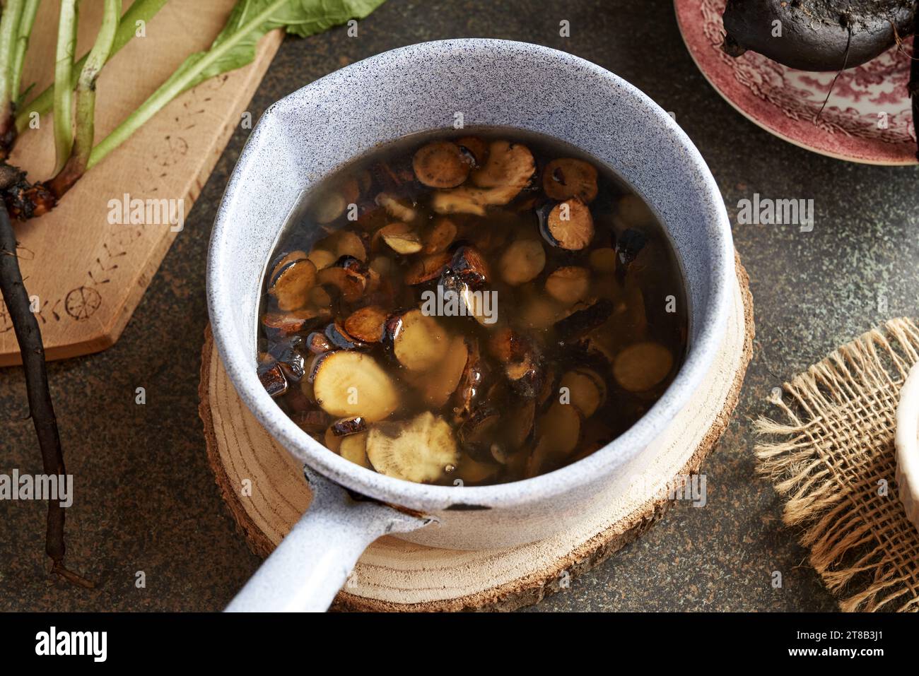 Preparation of comfrey root ointment from fresh knitbone plant and ...