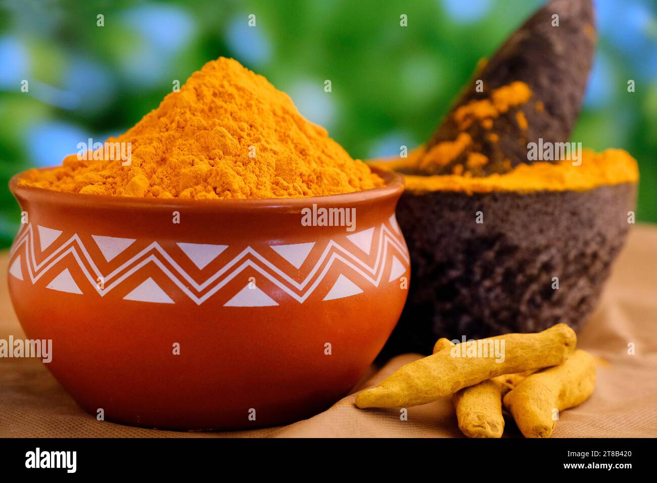 Dry turmeric powder (curcuma longa linn) stone mortar, traditional ...