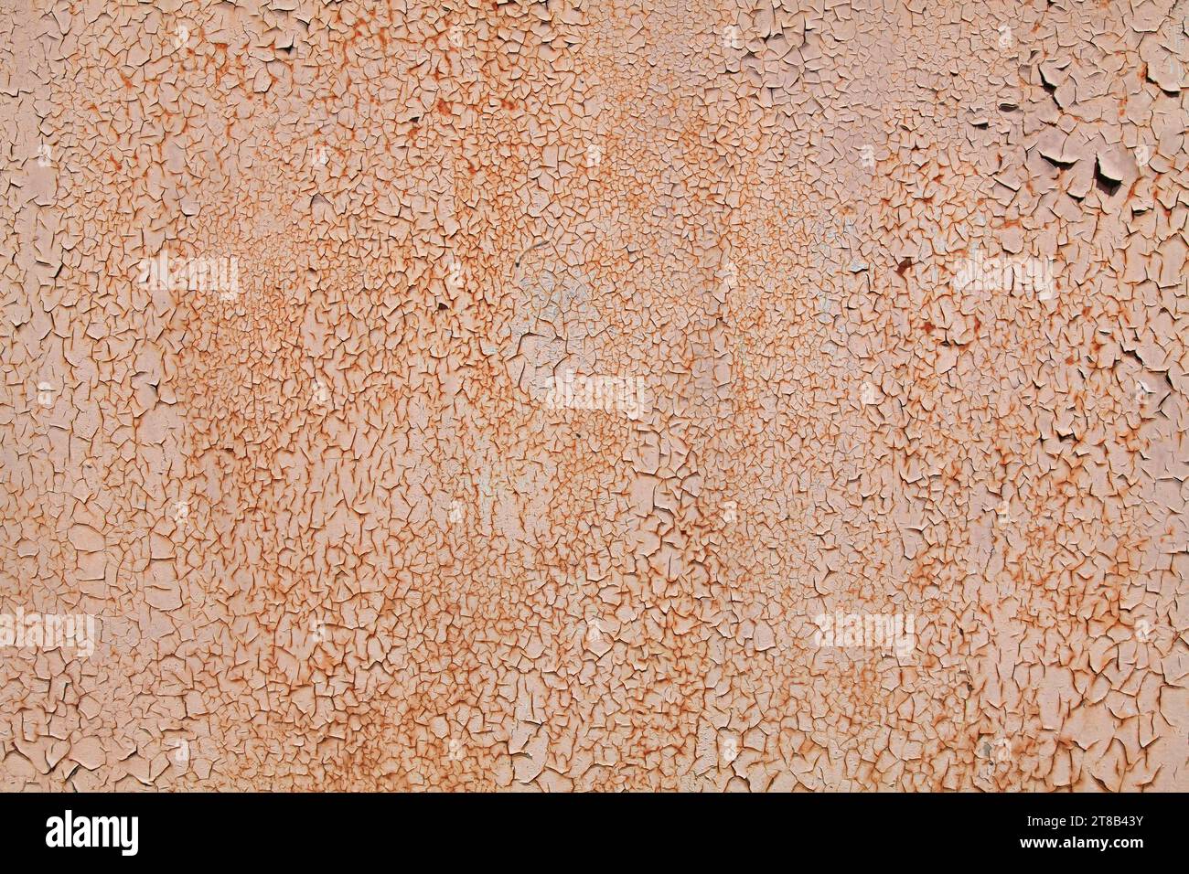 Pink metallic wall, background. Mangy surface with peeling and cracked ...
