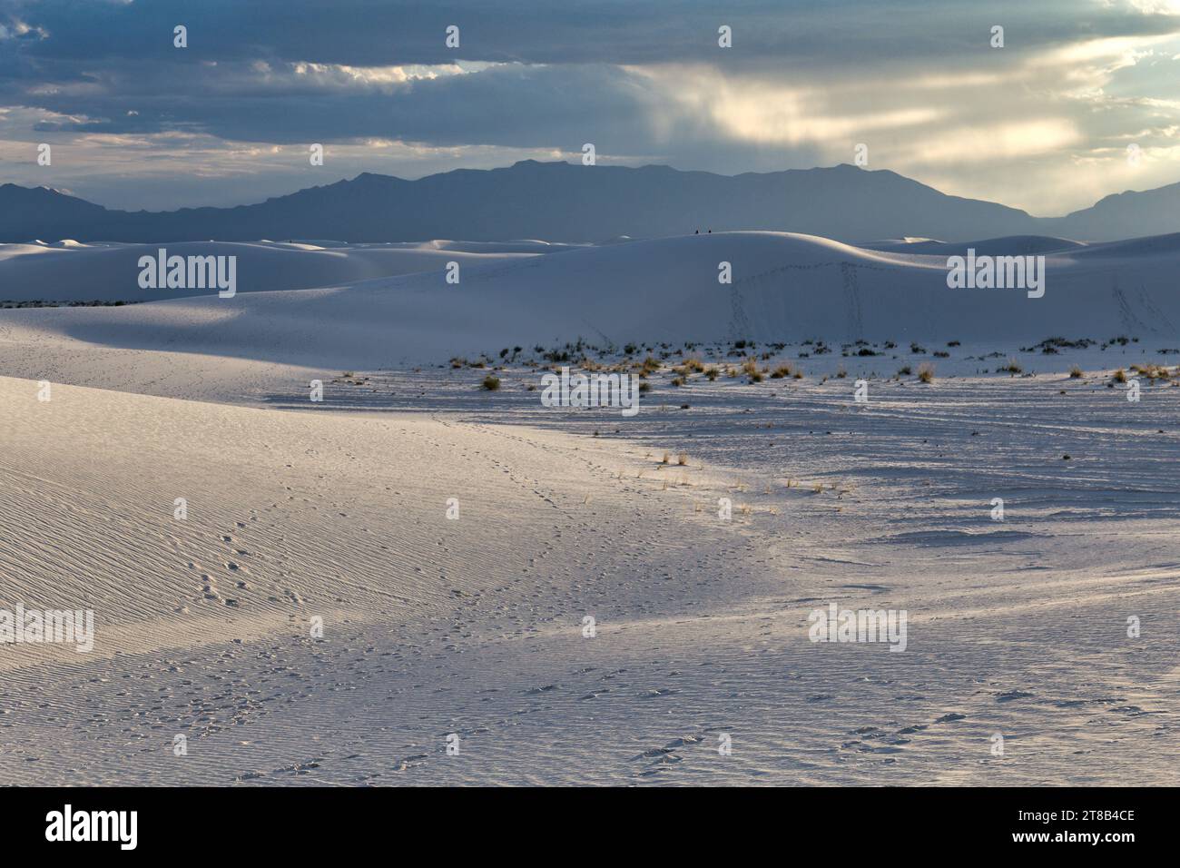 Rising from the heart of the Tularosa Basin is one of the world's great ...