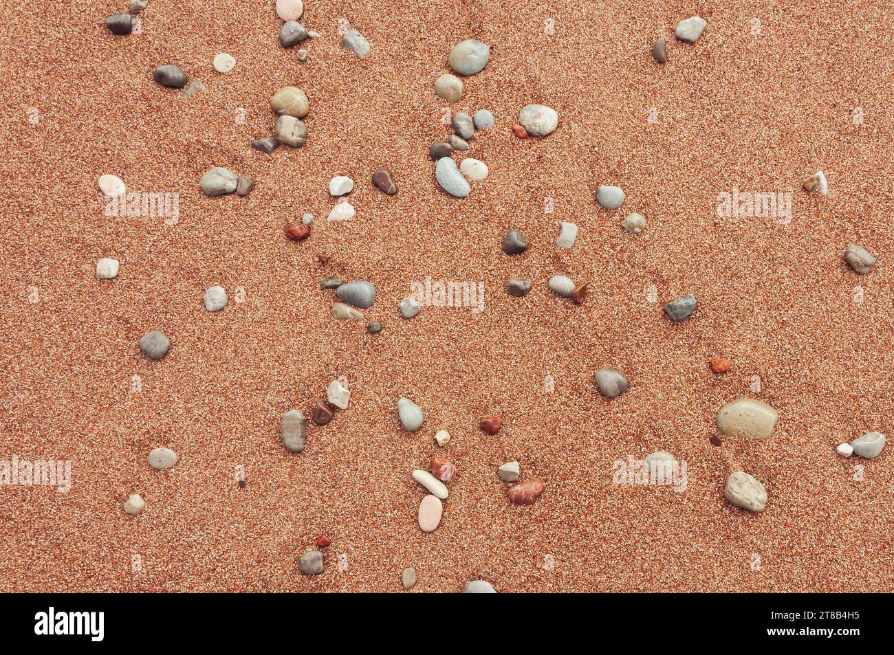 background beach with sand with pebbles with place for an inscription ...
