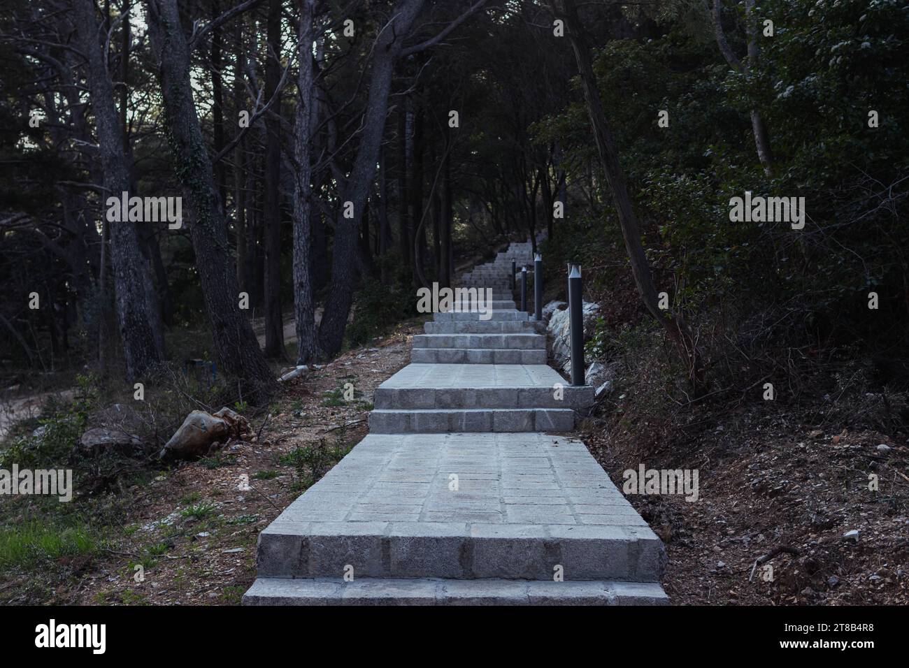 steps up the mountain in the park around the green trees Stock Photo ...