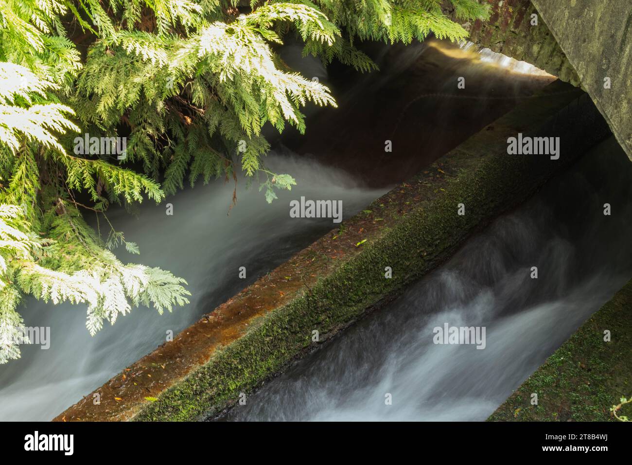stream flows through the houses and the park. The water flows quickly ...