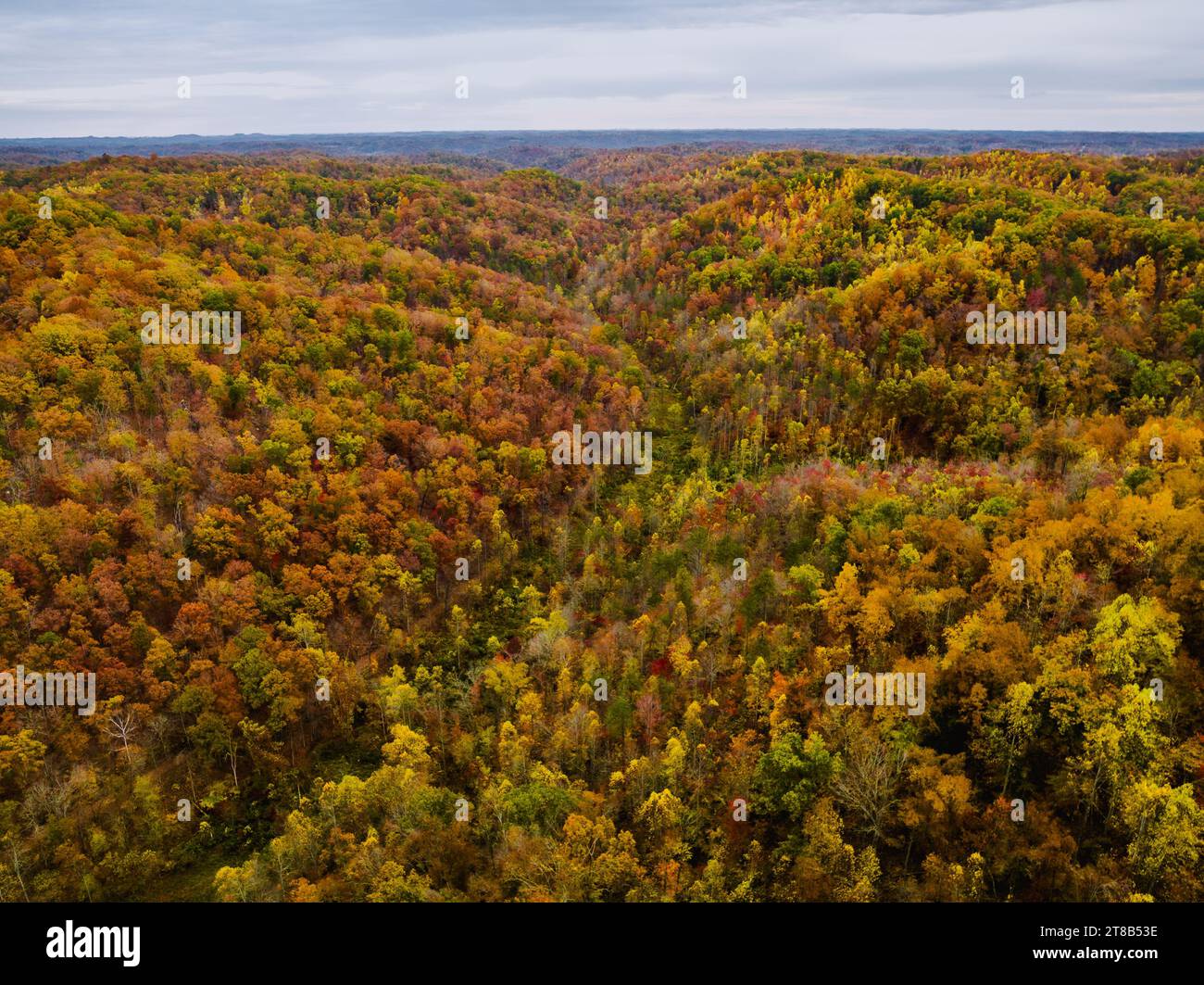 Grayson kentucky hi-res stock photography and images - Alamy