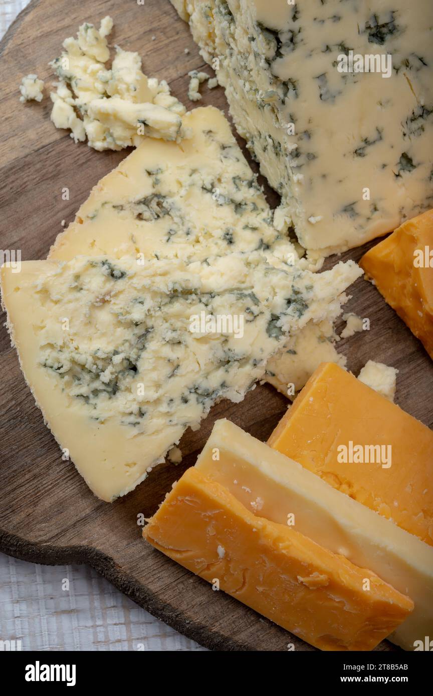 English cheeses collection, mature and coloured cheddar cheese and semi ...