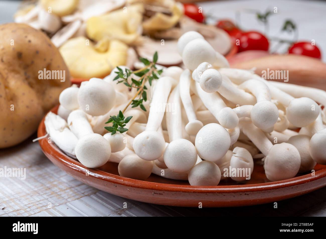 White shimeji edible mushrooms native to East Asia, buna-shimeji is ...
