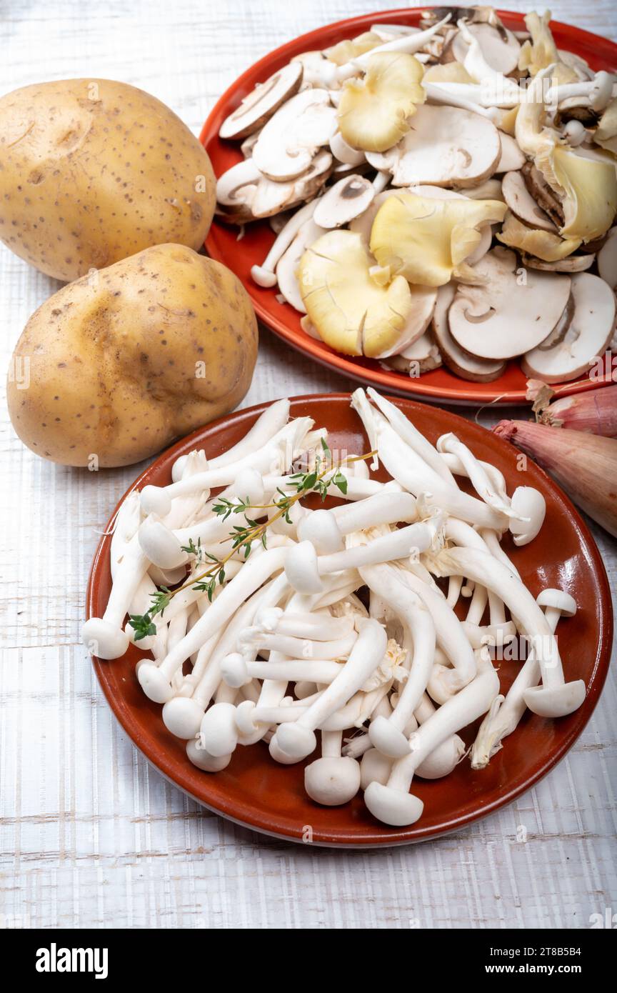 White shimeji edible mushrooms native to East Asia, buna-shimeji is ...