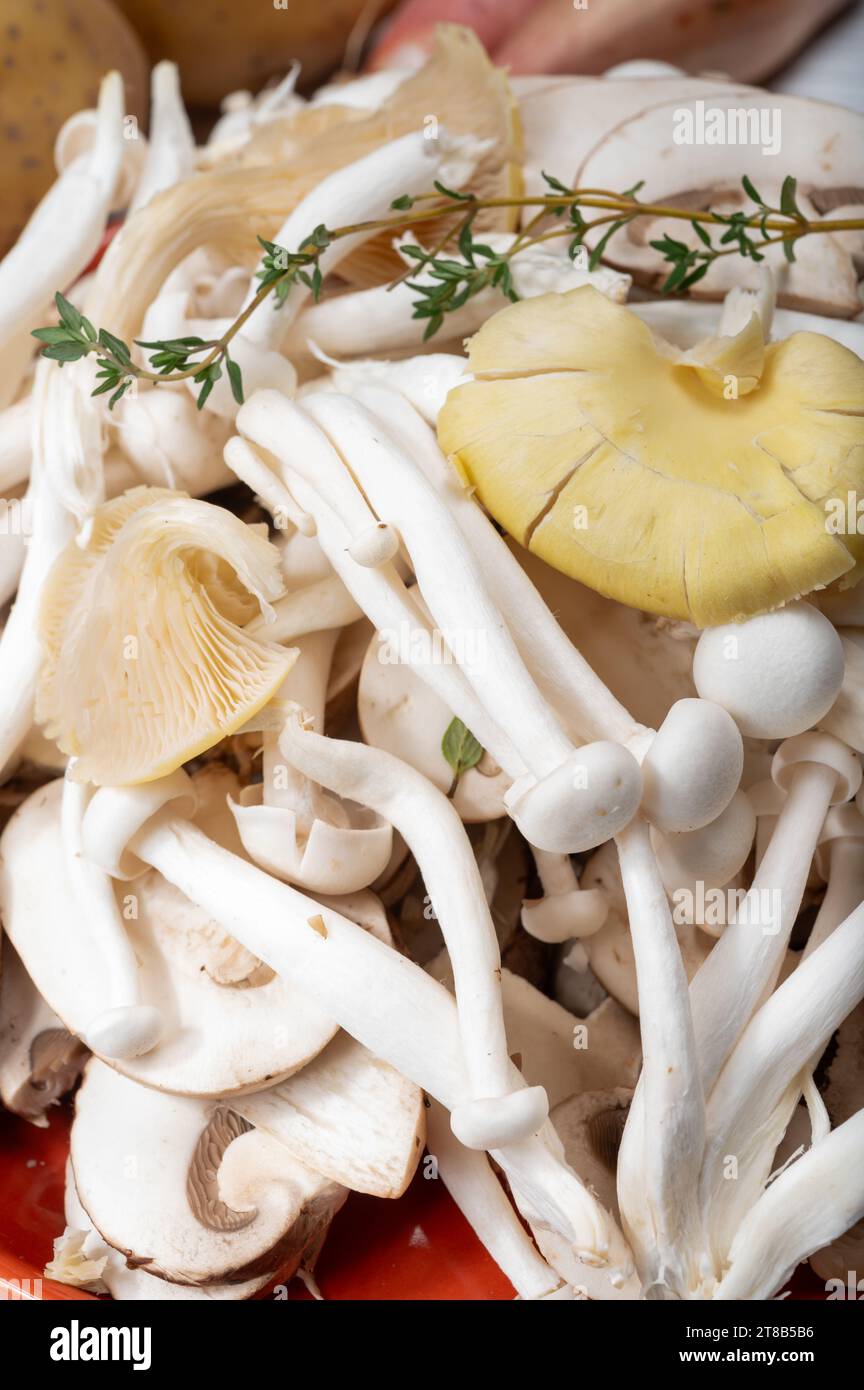 White shimeji edible mushrooms native to East Asia, buna-shimeji is ...