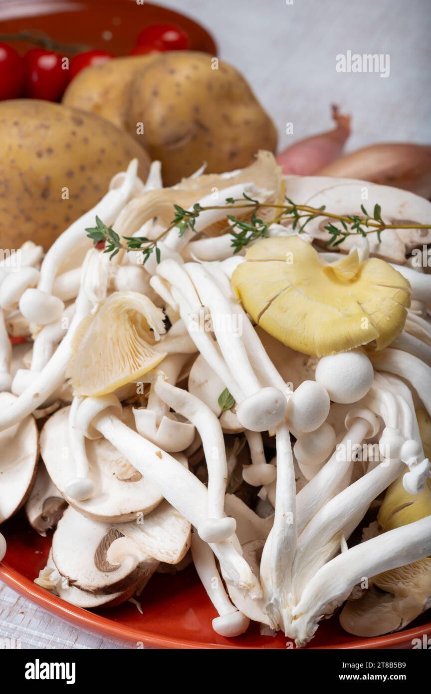 White shimeji edible mushrooms native to East Asia, buna-shimeji is ...