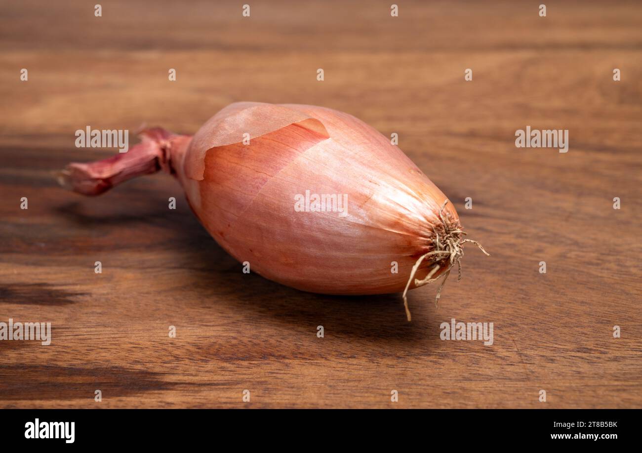 French long pink shallots grappe onion from Brittany, France close up ...