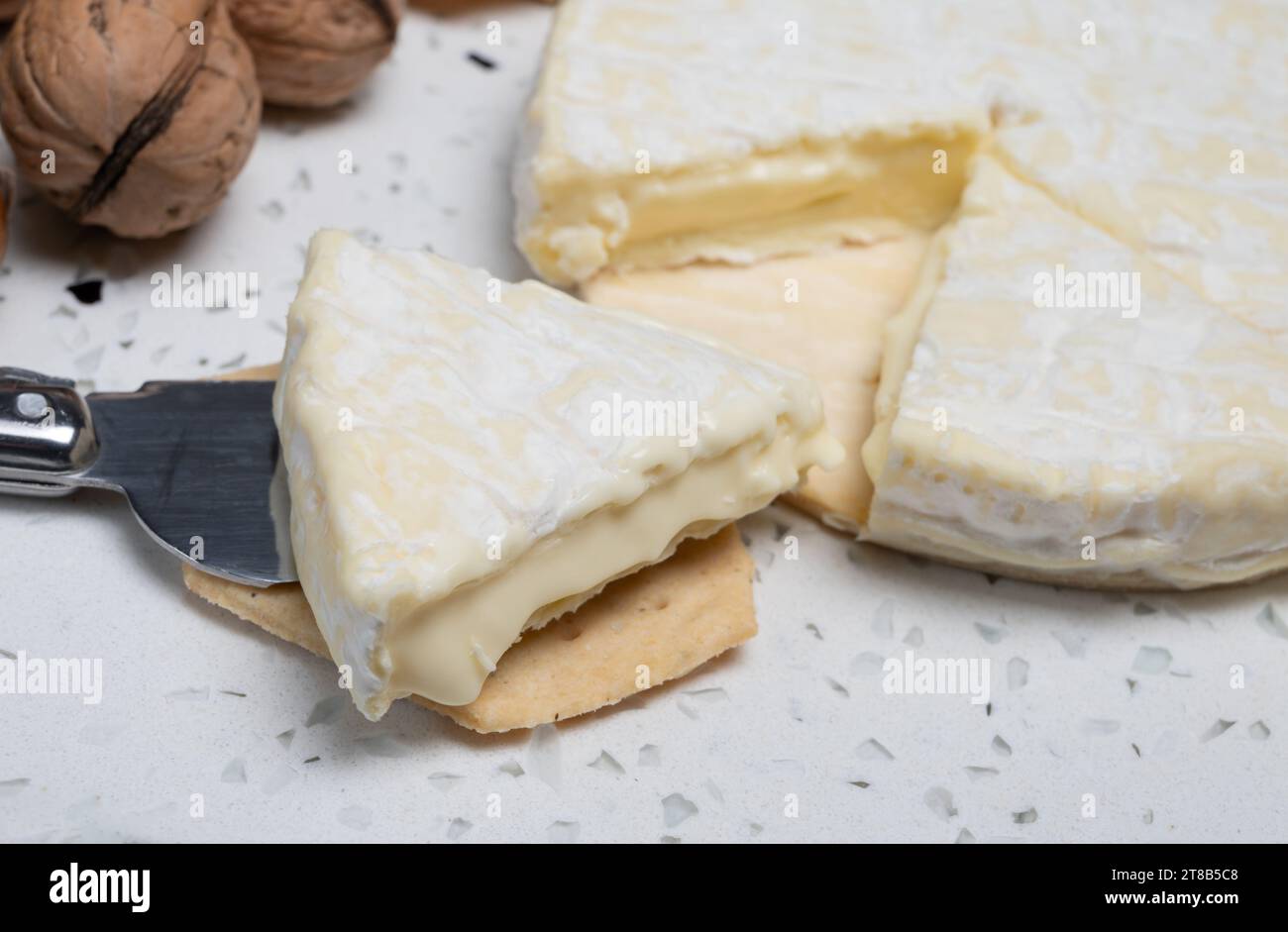 French soft Cremeux de Normandie cheese, soft creamy cheese with white ...