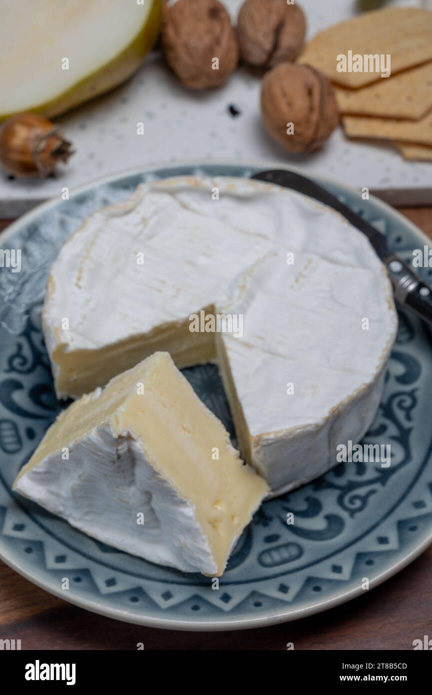 French soft Camembert cheese, original Camembert de Normandie, close up ...