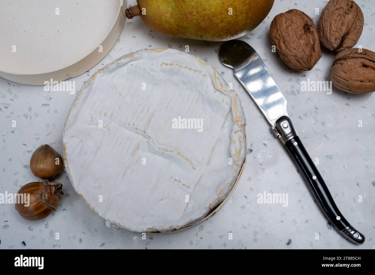 French soft Camembert cheese, original Camembert de Normandie, close up ...