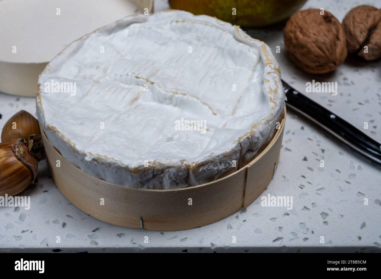French soft Camembert cheese, original Camembert de Normandie, close up ...