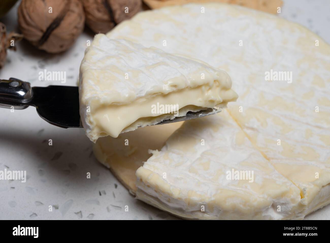 French soft Cremeux de Normandie cheese, soft creamy cheese with white ...