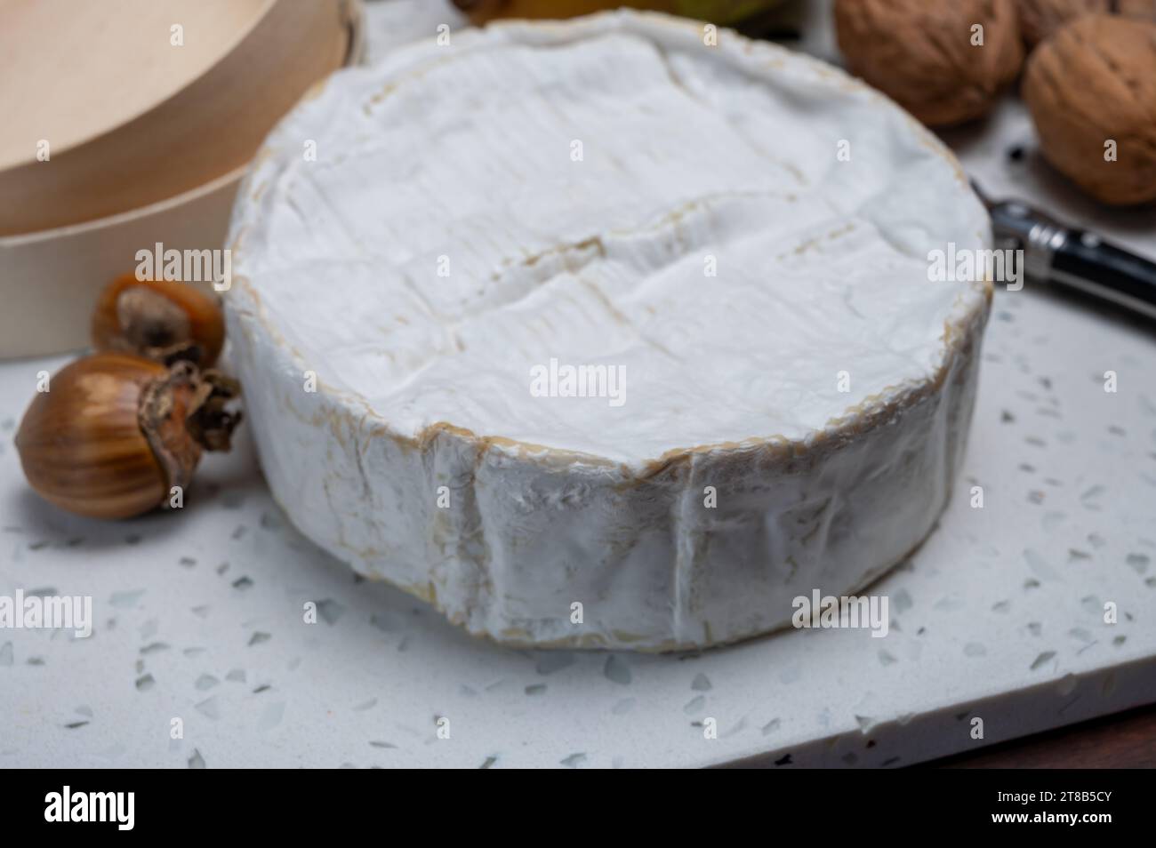 French soft Camembert cheese, original Camembert de Normandie, close up ...