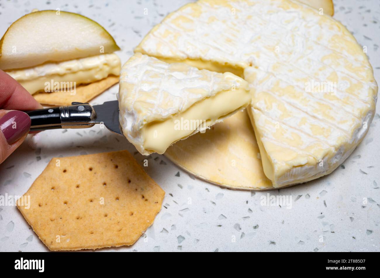 French soft Cremeux de Normandie cheese, soft creamy cheese with white ...