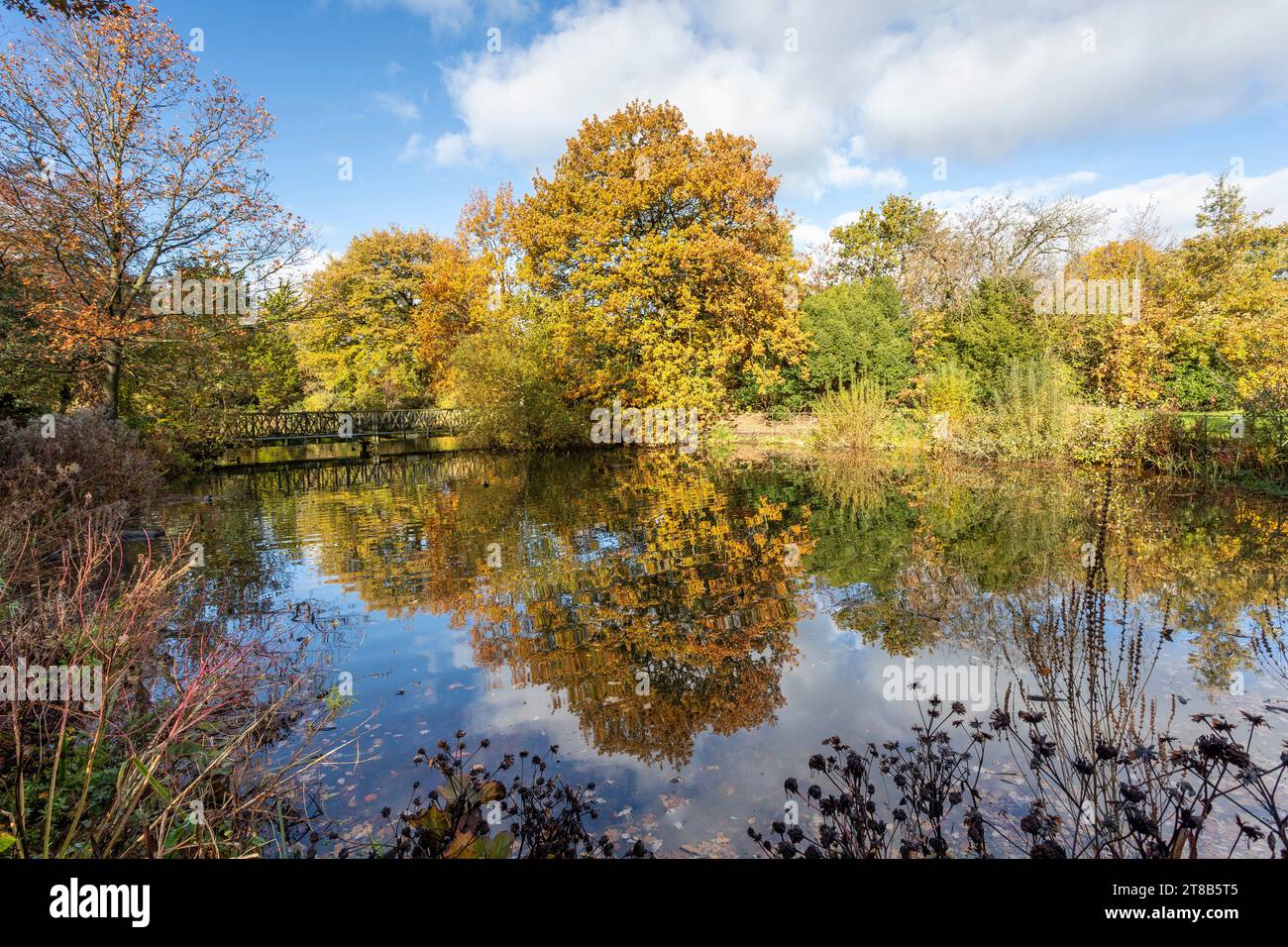 Birkenhead lake hi-res stock photography and images - Alamy