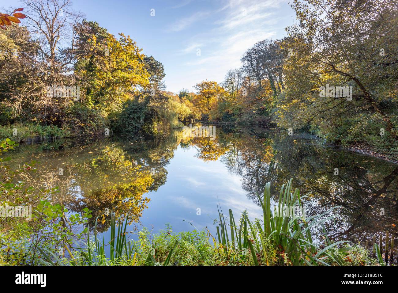 The upper lake in Birkenhead Park Stock Photo - Alamy