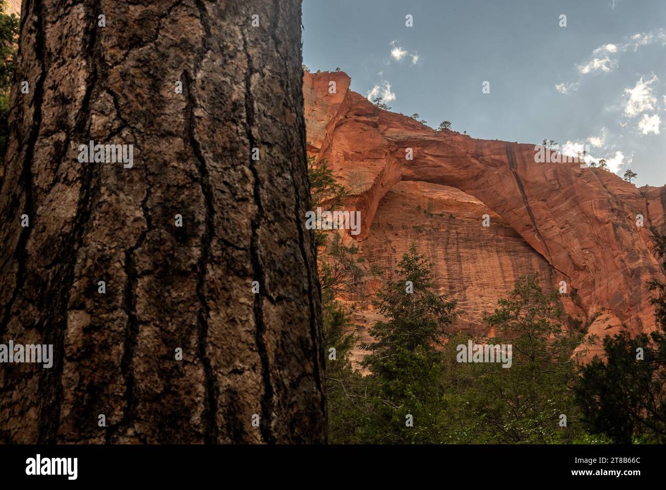 Kolob arch zion hi-res stock photography and images - Alamy
