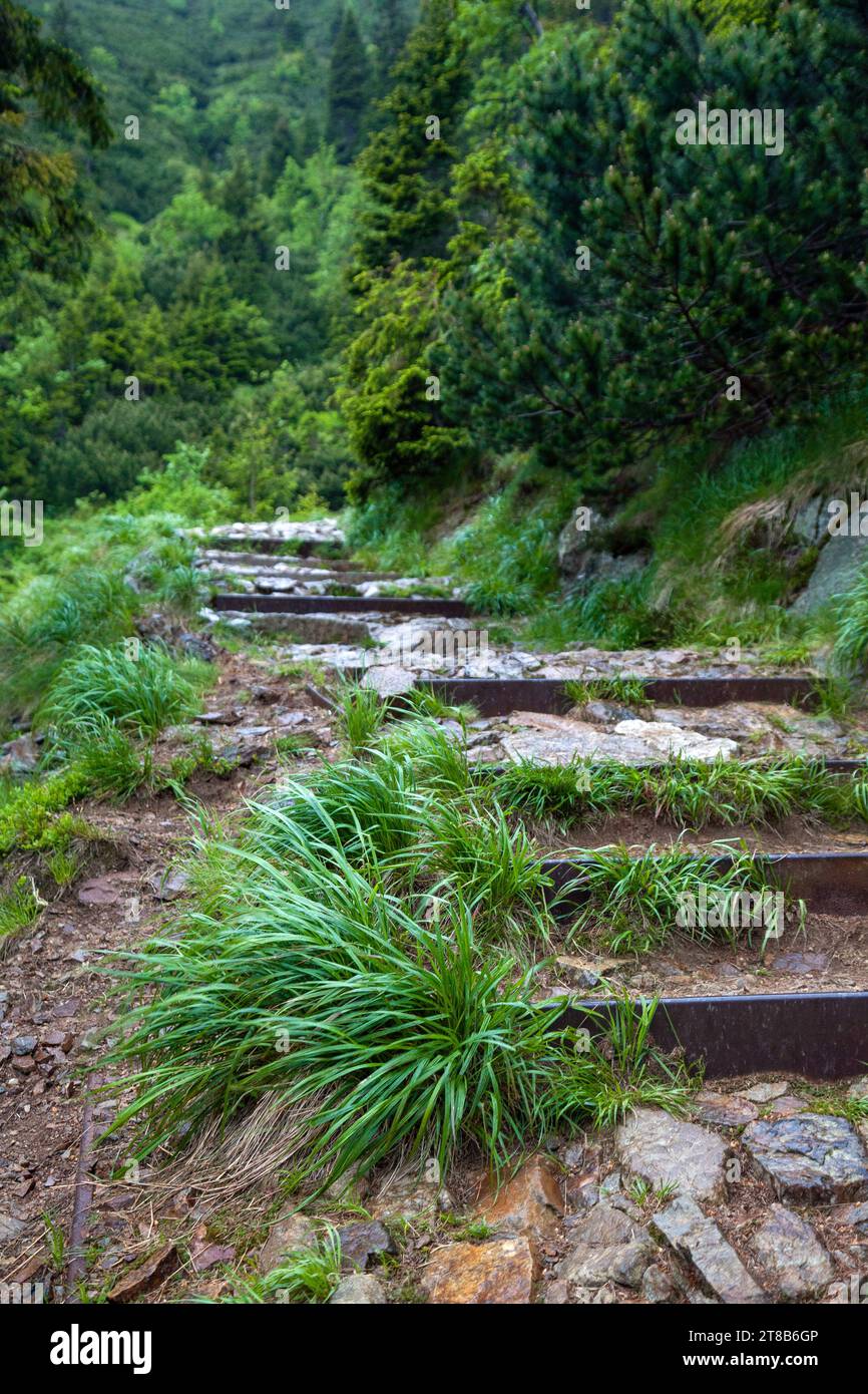 mountain reinforced stairs, stone mountain steps, mountains Stock Photo ...