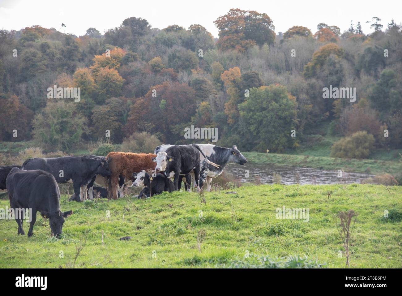Irlande rural hi-res stock photography and images - Alamy