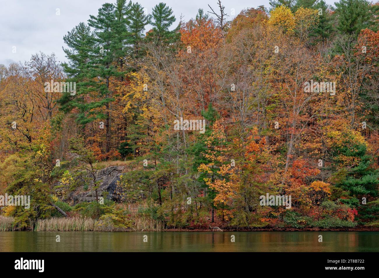 On the lake looking at the colorful shoreline with multicolor trees ...