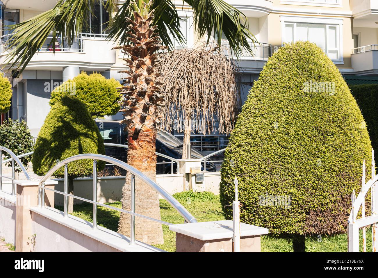 Trimmed bushes detail hi-res stock photography and images - Alamy