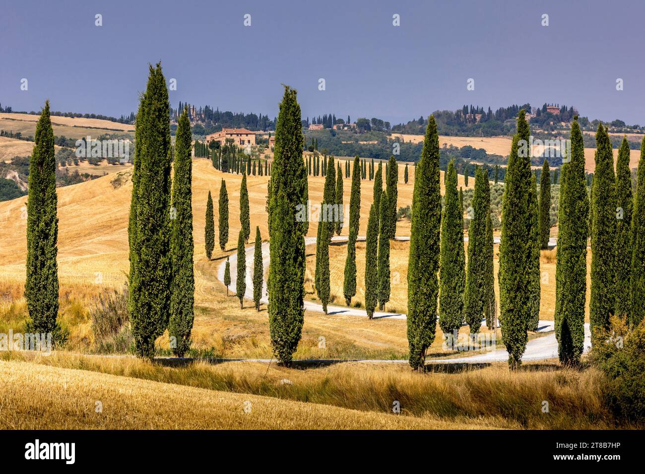 Asciano, Italy - July 22, 2023: Tuscan landscape. One of the most ...