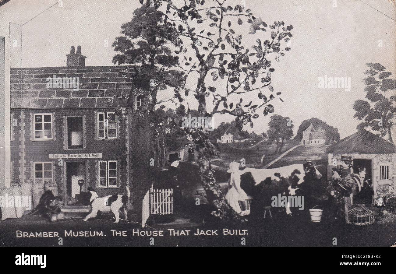 Taxidermy museum victorian hi-res stock photography and images - Alamy