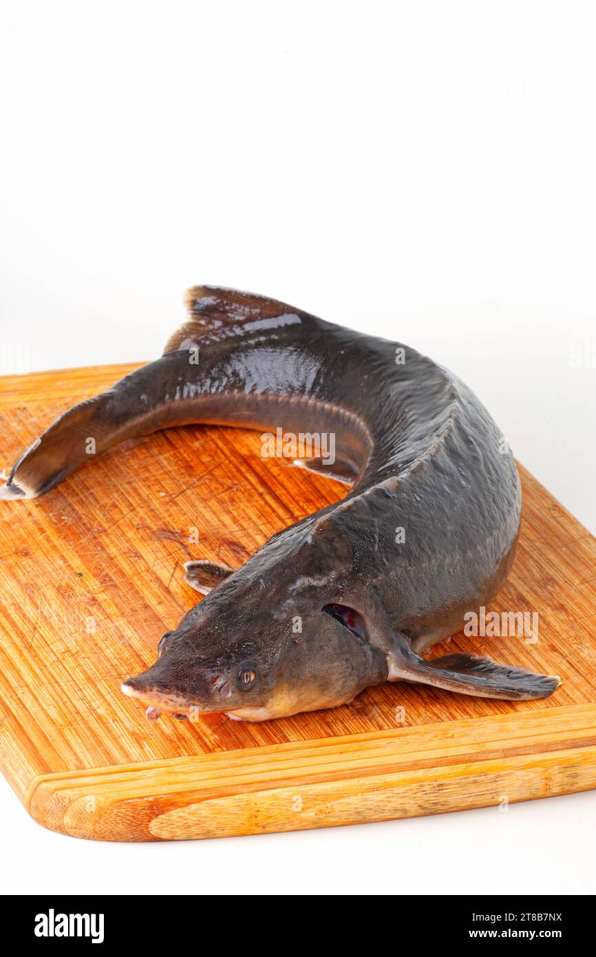 sturgeon fish on the wooden background Stock Photo - Alamy
