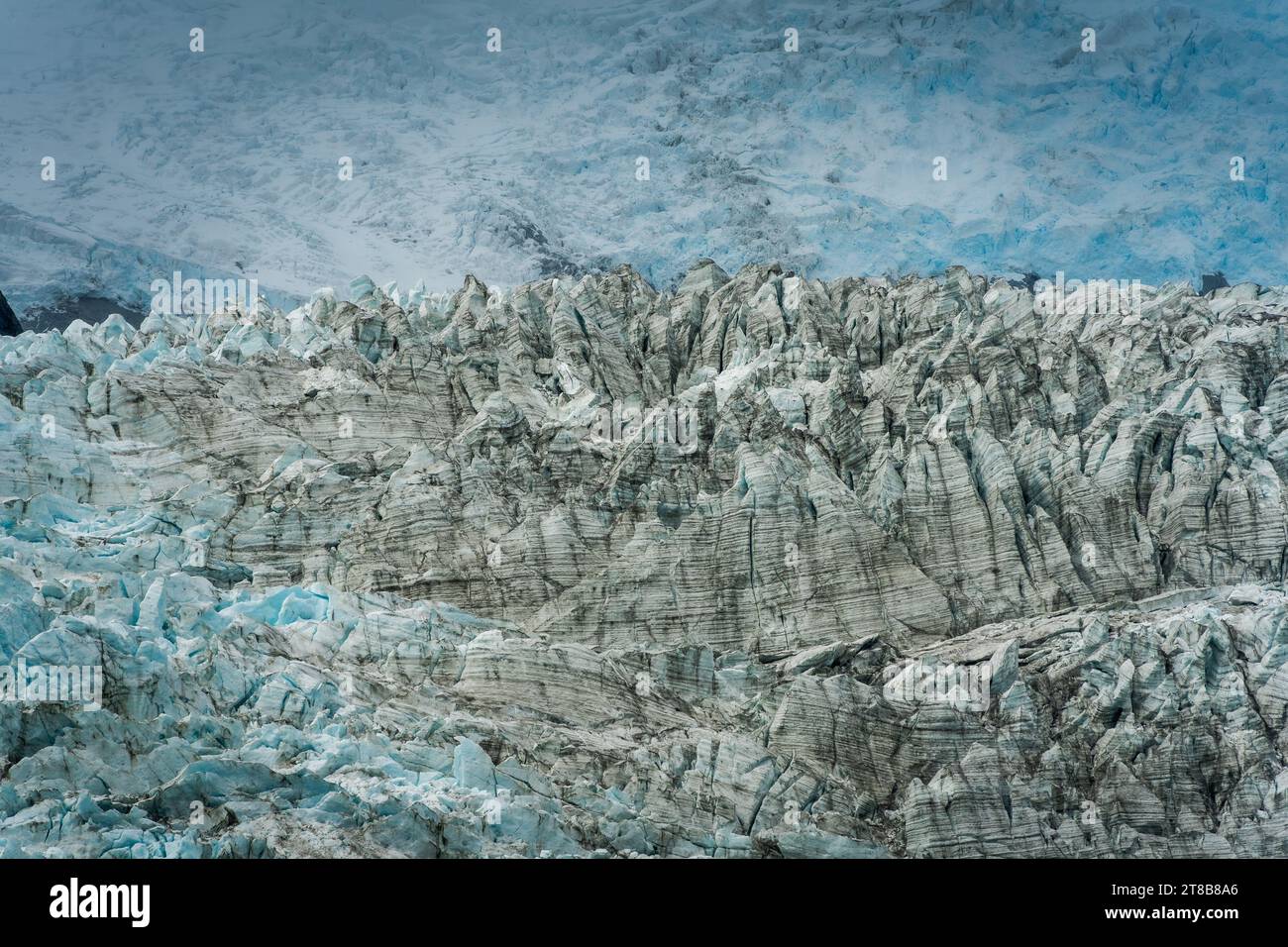 Cape Horn Biosphere Reserve in Magellanic sub-Antarctic eco-region ...