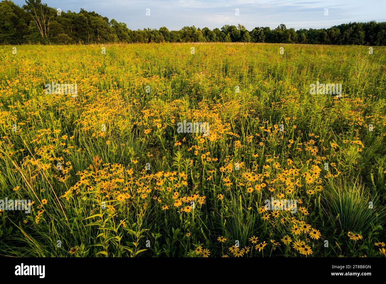 Caesar creek state park ohio hi-res stock photography and images - Alamy