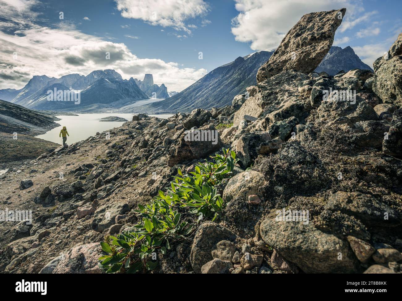 Mount Asgard at Akshayuk Pass, Auyuittuq National Park, Nunavut, Canada ...
