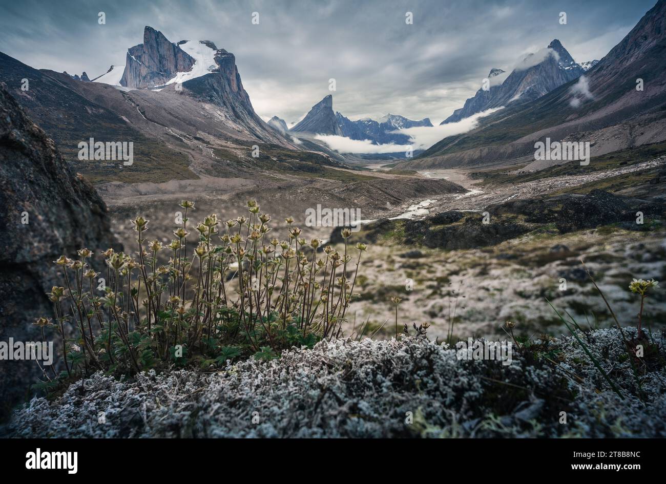 Auyuittuq hi-res stock photography and images - Alamy