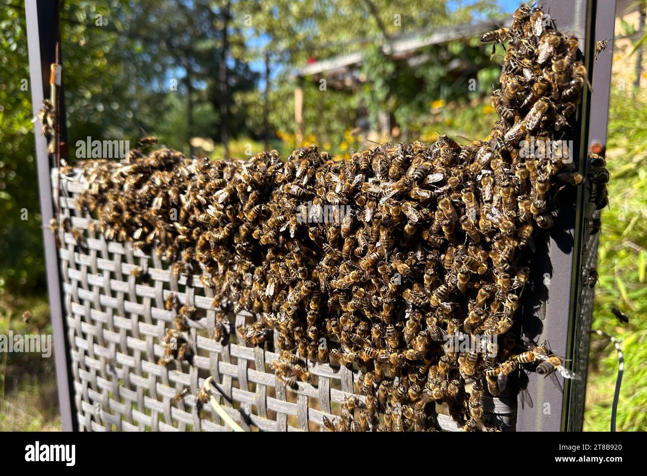 Paravon hi-res stock photography and images - Alamy