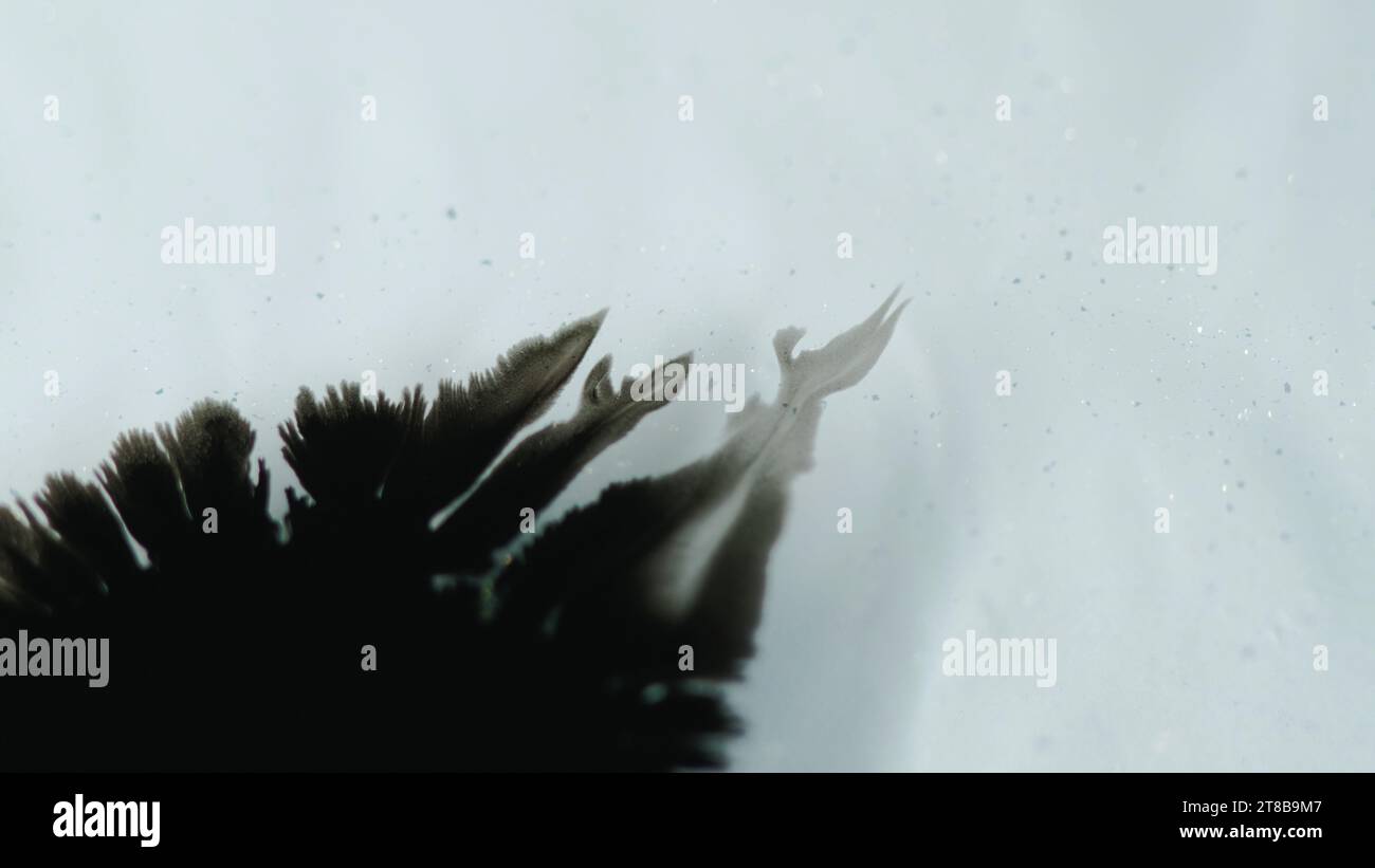Ink drop paint splatter in water black stain flow Stock Photo - Alamy