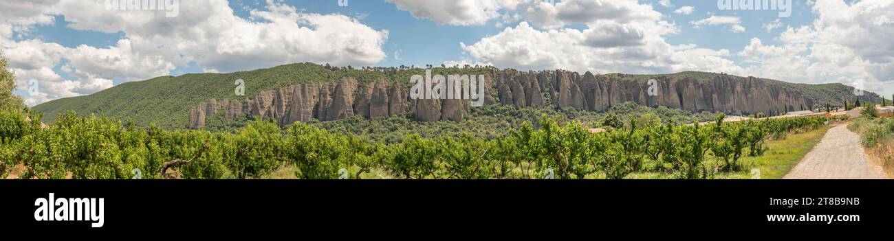 Beautiful panoramic view of the Les Pénitents des Mees formation on a ...