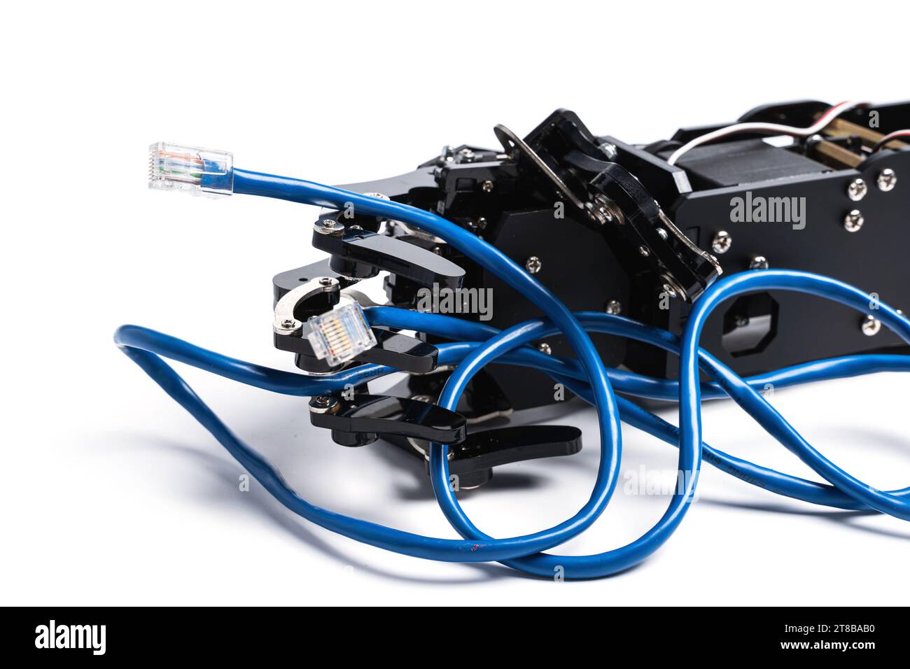Real robot's hand holding blue Ethernet cable with rj45 connector on ...