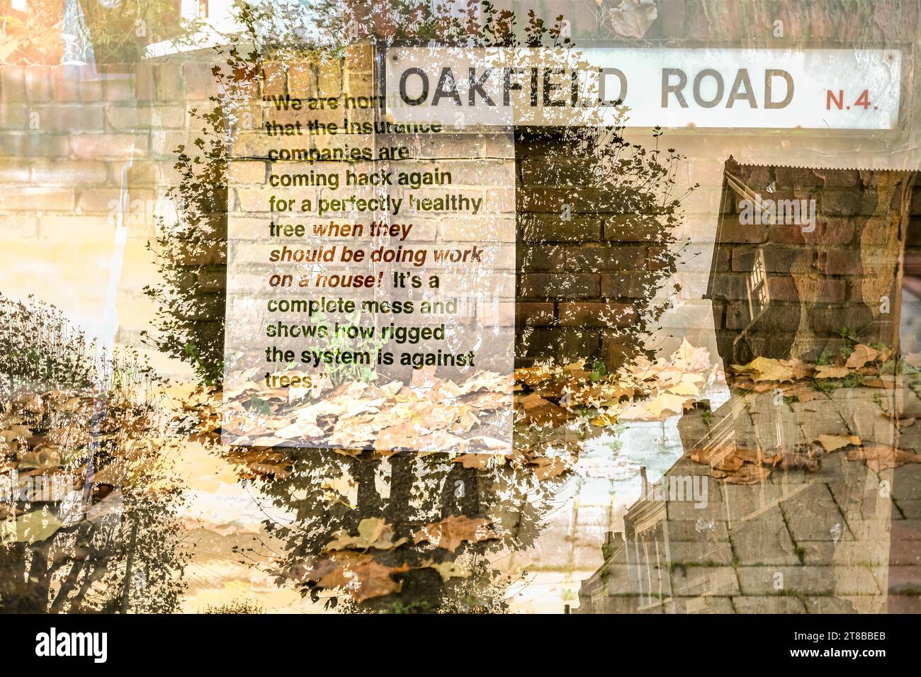 London, England, UK. 19th Nov, 2023. Multiple exposures of Oakfield ...