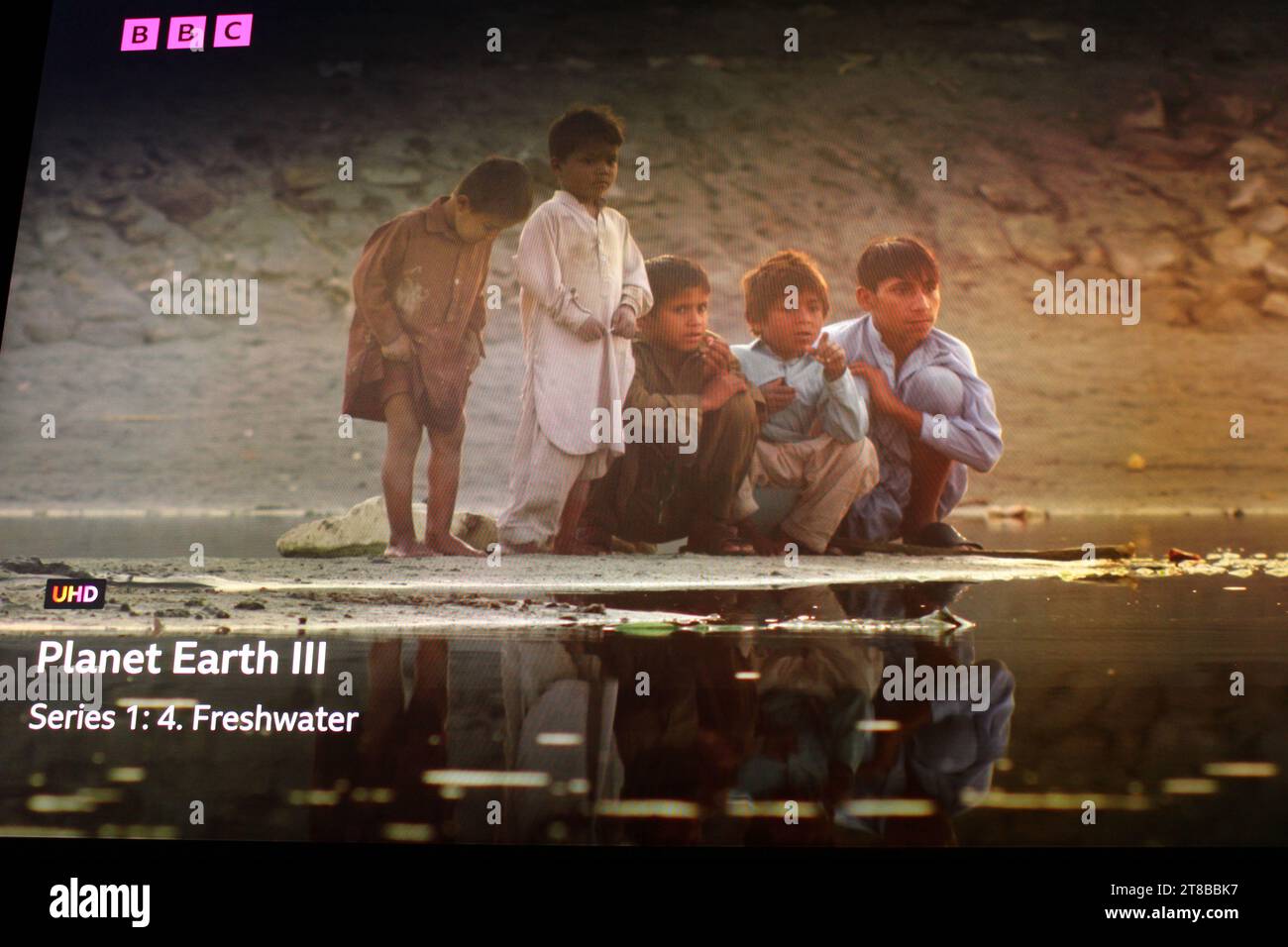 Planet Earth on BBC IPlayer shown on a television (TV) screen at home ...