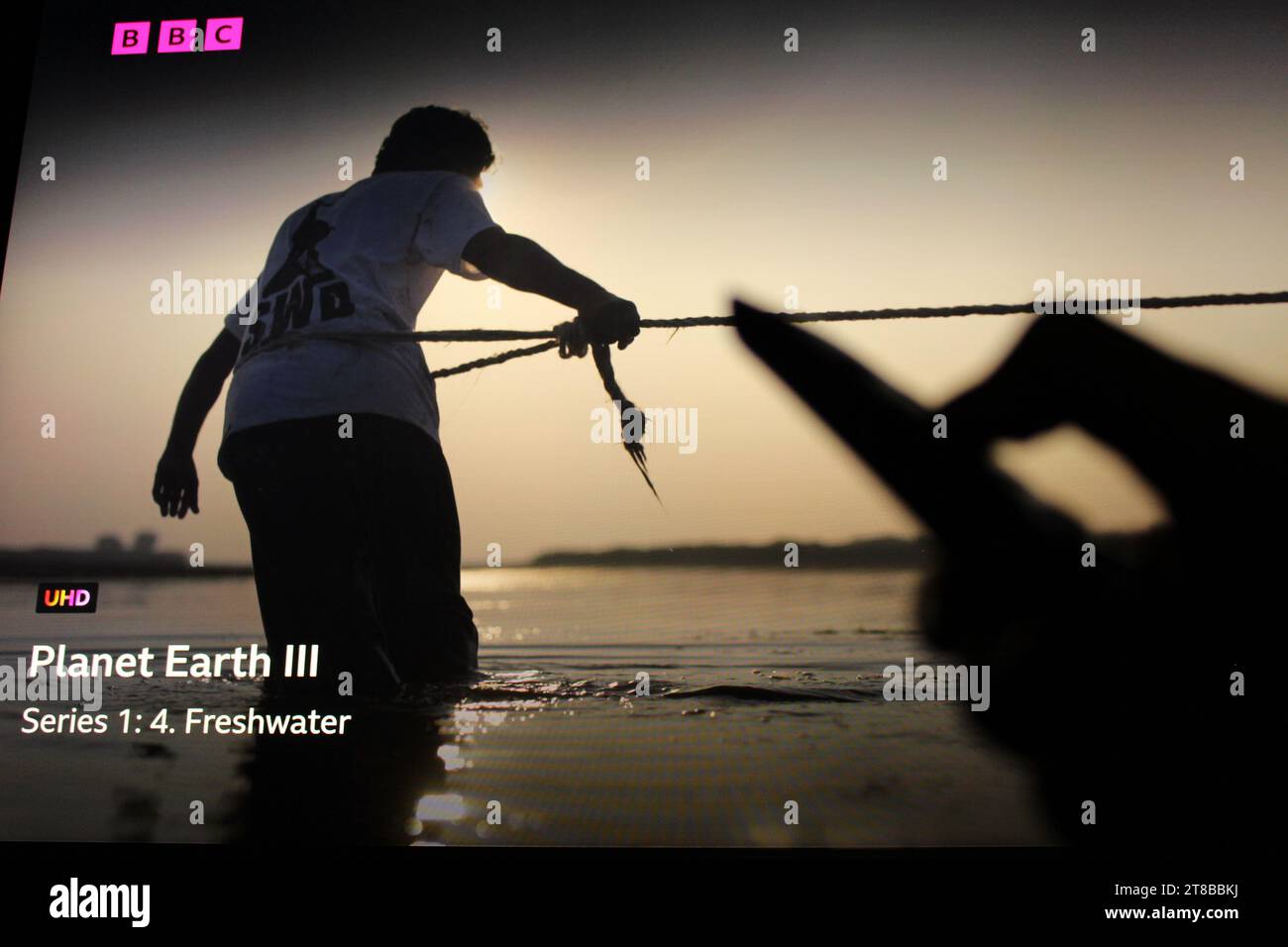Planet Earth on BBC IPlayer shown on a television (TV) screen at home ...