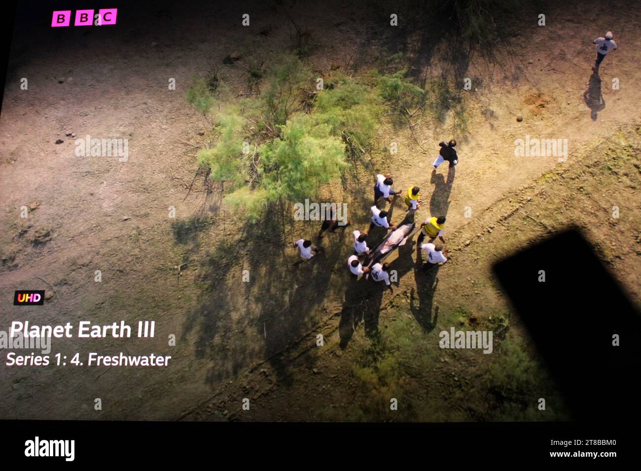 Planet Earth on BBC IPlayer shown on a television (TV) screen at home ...
