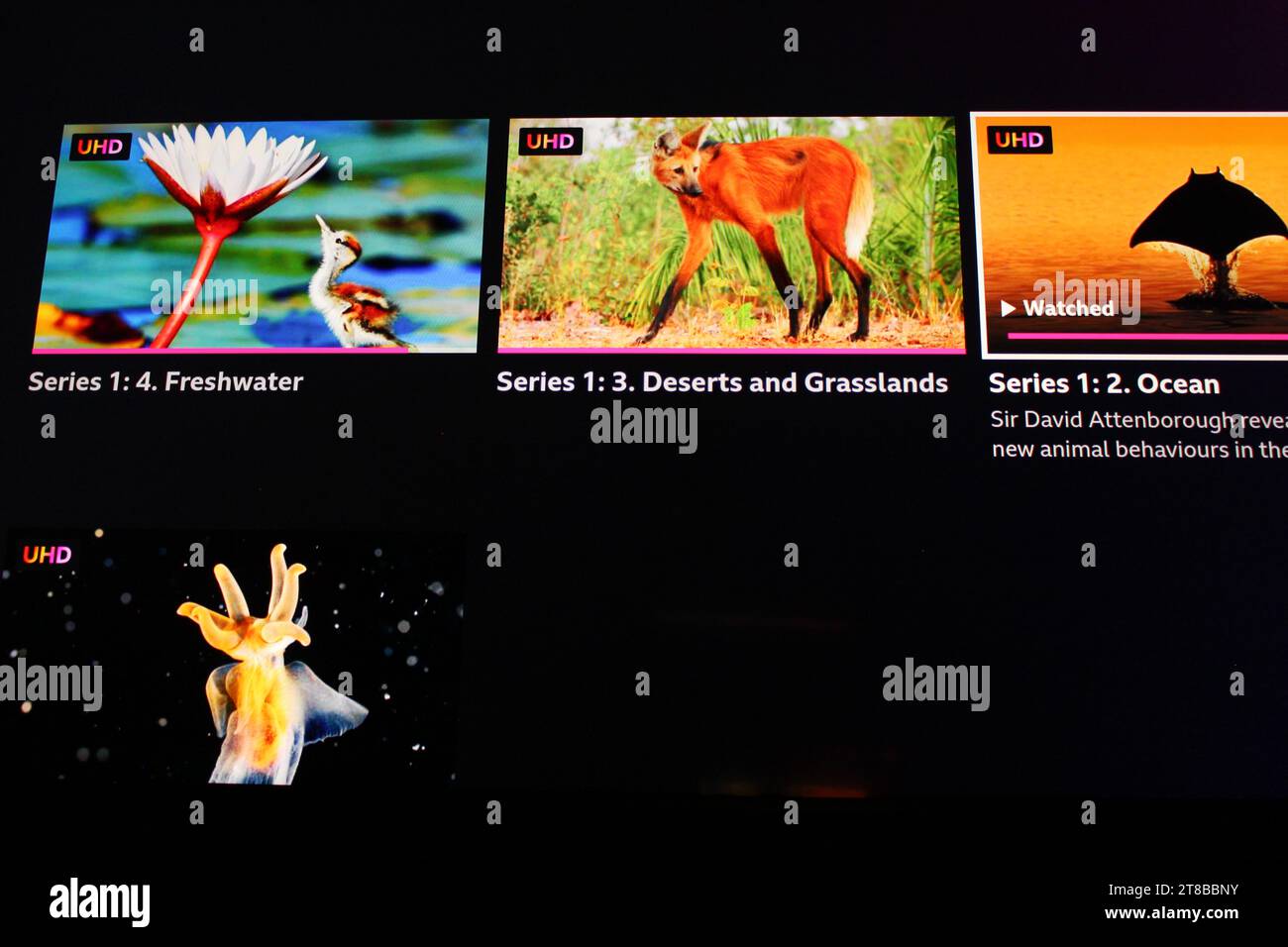 Planet Earth on BBC IPlayer shown on a television (TV) screen at home ...